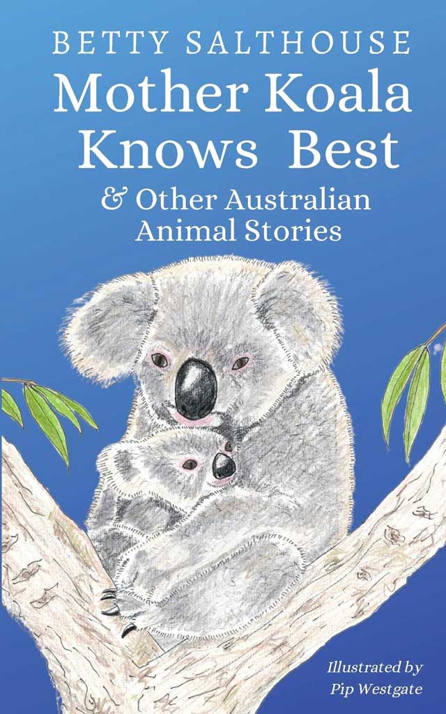 The Best Children’s Story Books to Read with a Koala Plushie – Funstra
