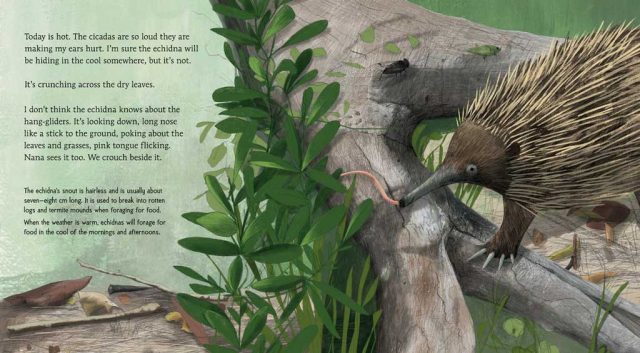The Best Children’s Picture Books To Read with an Echidna Plushie – Funstra