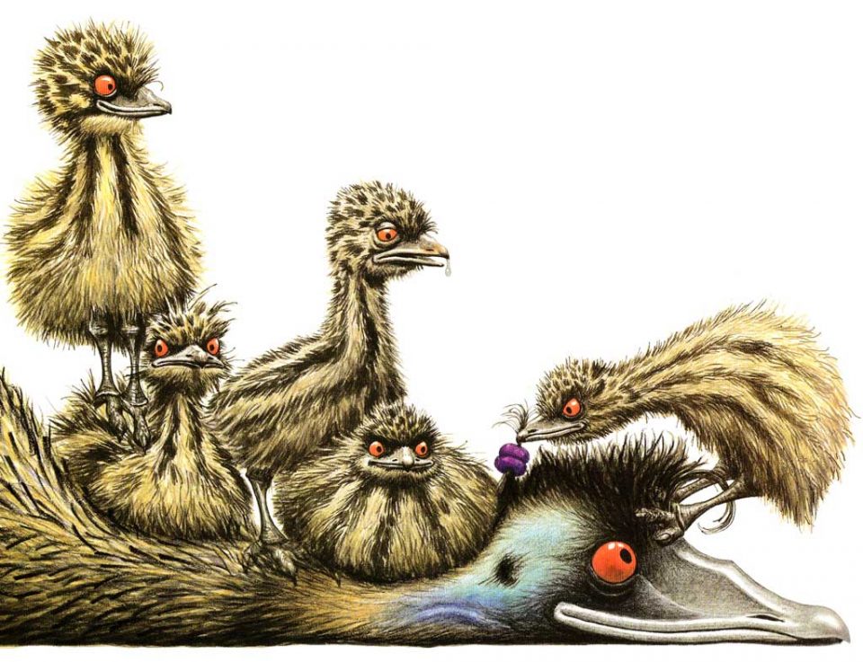 Emu Books for Kids – Funstra