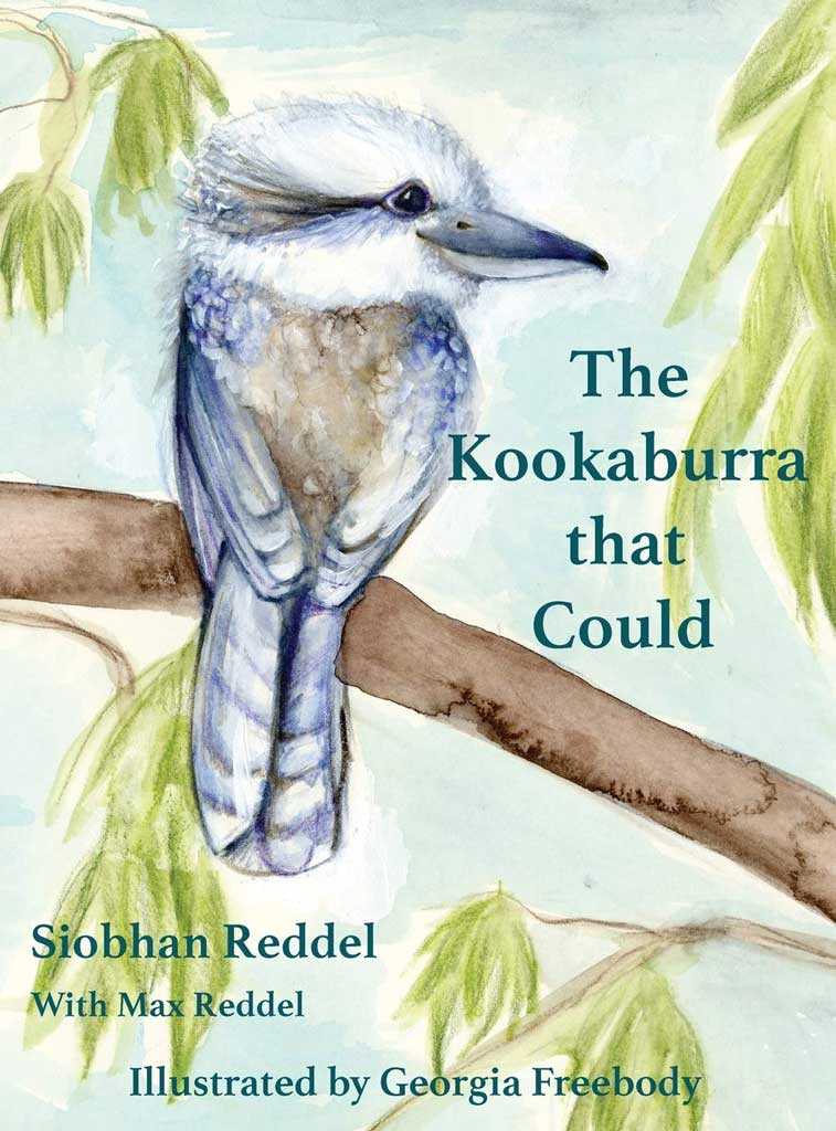 The Best Children’s Picture Books To Read with an Kookaburra Plushie ...
