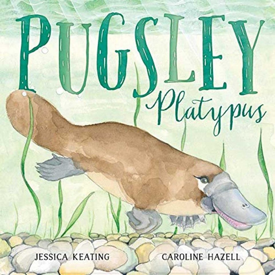 The Best Children’s Picture Books To Read with a Platypus Plushie – Funstra